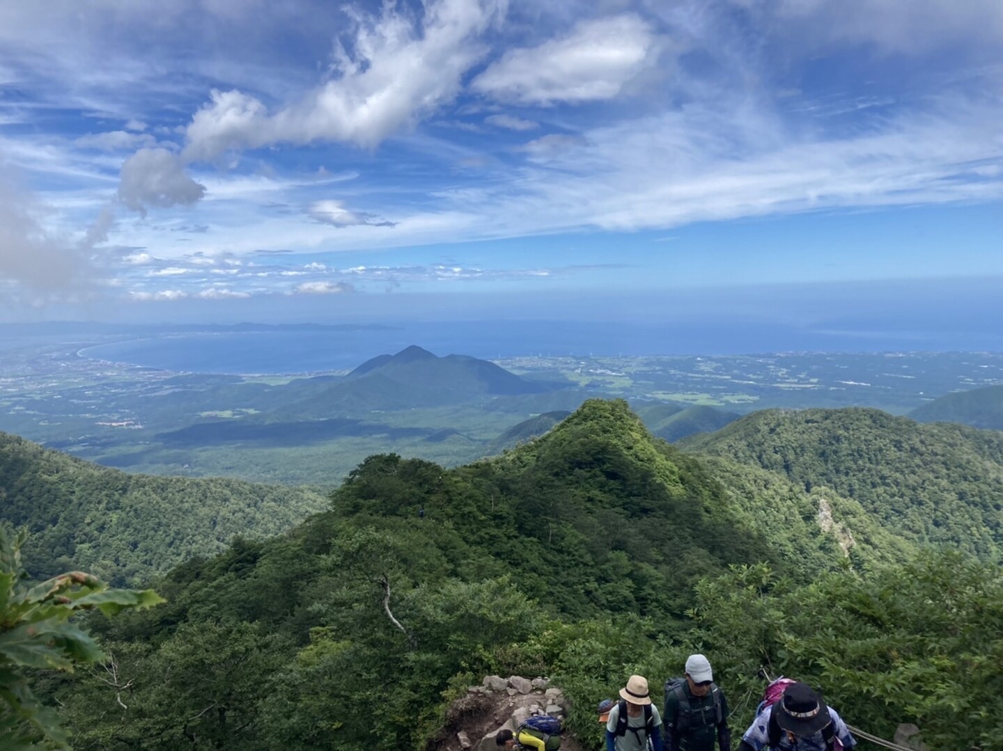 大山ユートピアでお花鑑賞 / masa599さんの大山・甲ヶ山・野田ヶ山の活動データ | YAMAP / ヤマップ