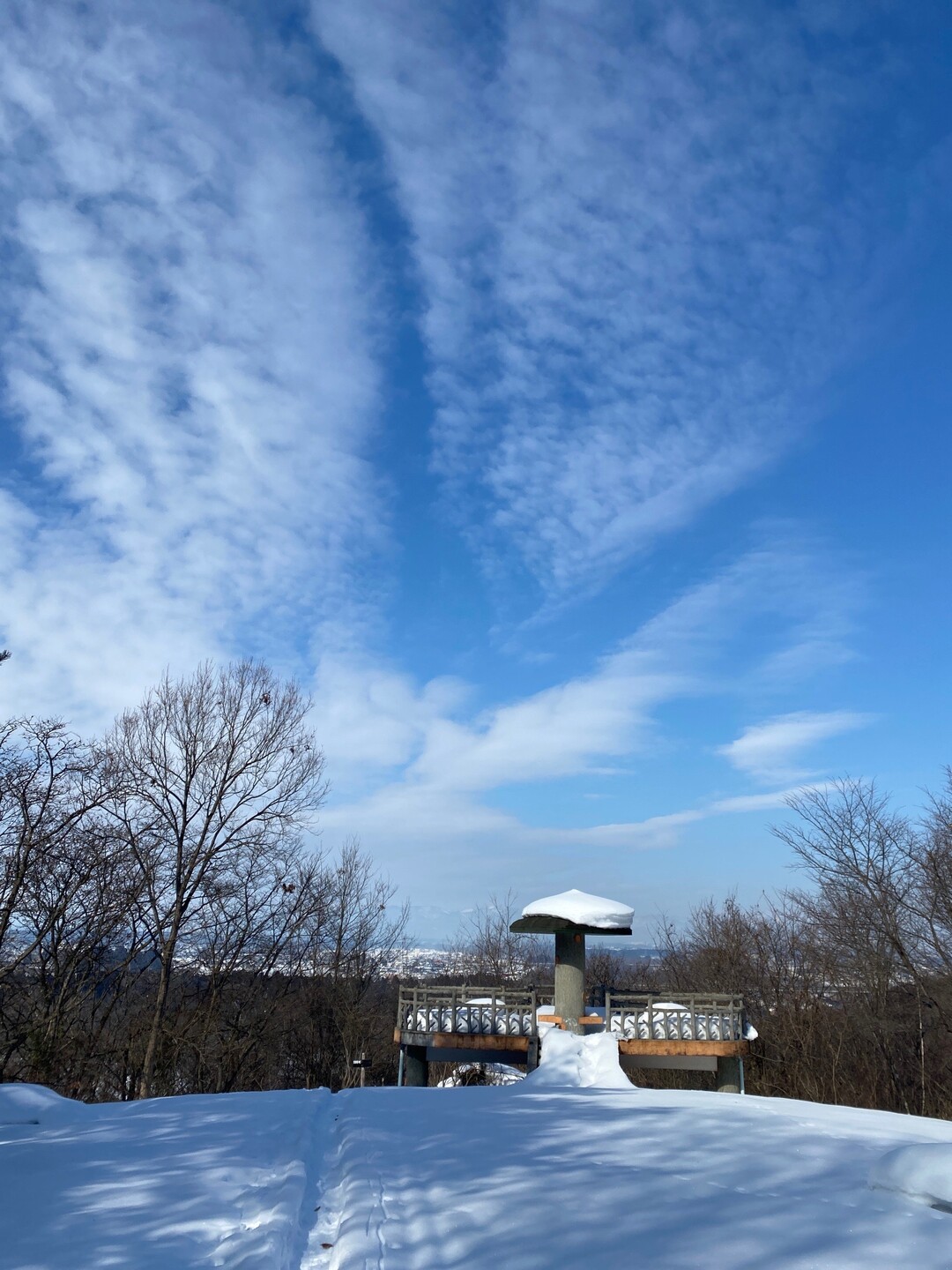 国見山・珊瑚岳 / jun___boさんの北上市の活動データ | YAMAP / ヤマップ