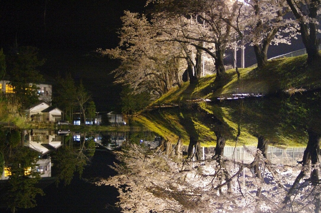 【光の桜球場】 こんばんは！昨日に引き続... / tadanoriさんのモーメント | YAMAP / ヤマップ