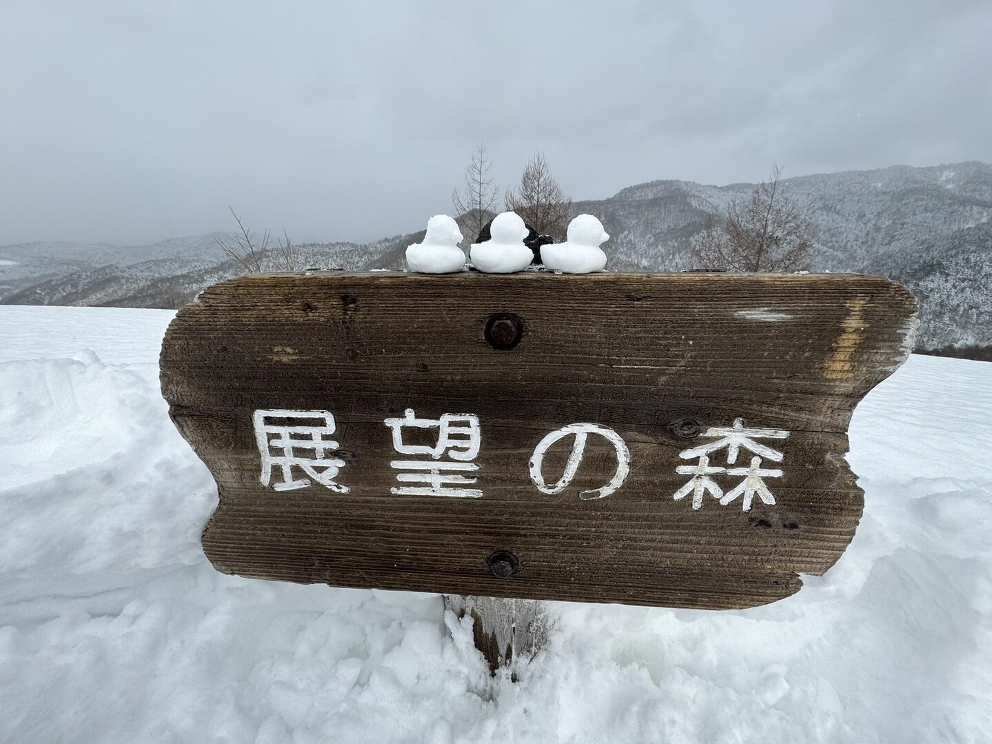 万字ズリ山④ ️🐤🐤🐤 / mii500さんの幌向岳・ズリ山の活動データ | YAMAP / ヤマップ