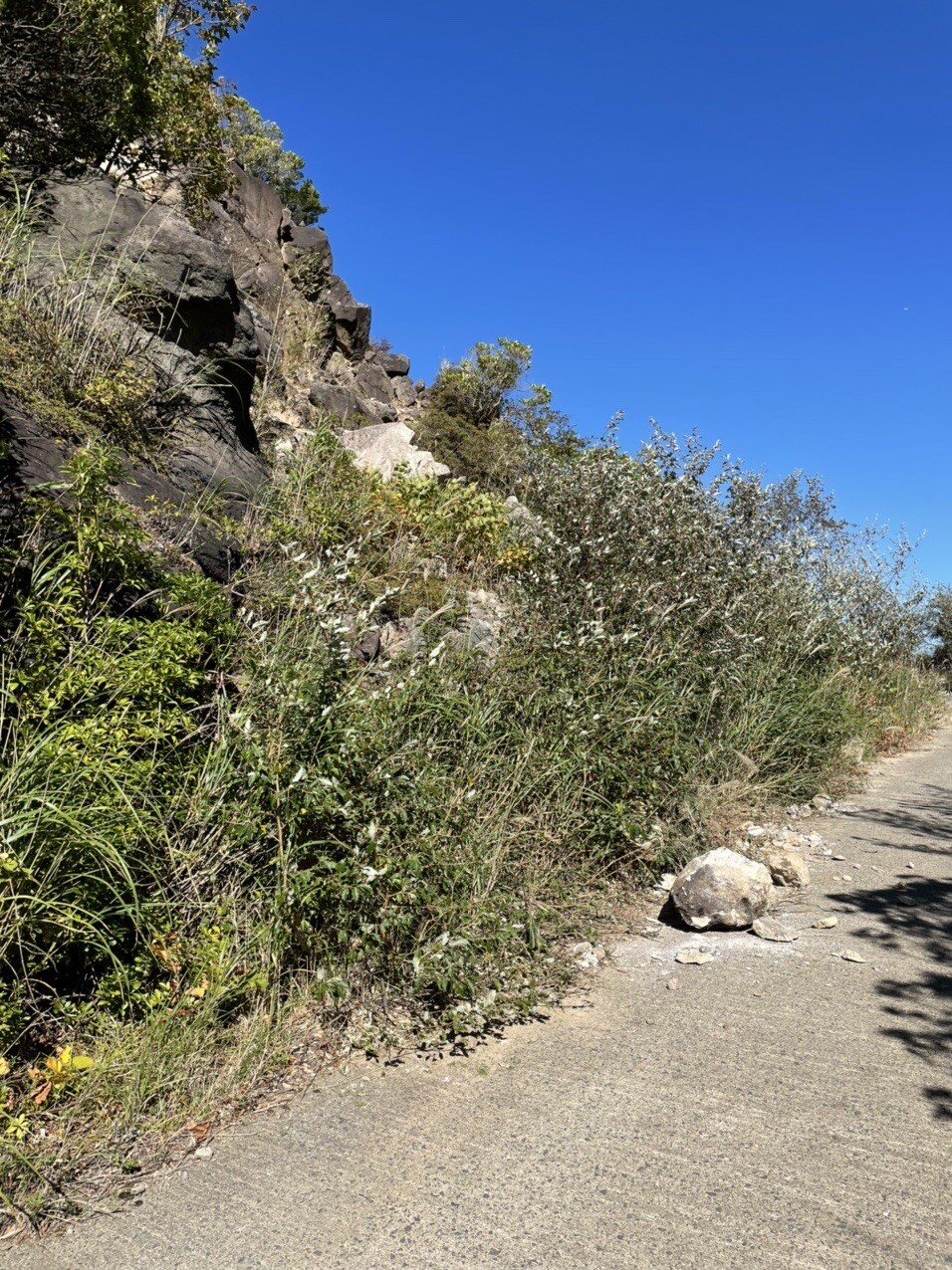 Seiさんの投稿したフィールドメモ | YAMAP / ヤマップ