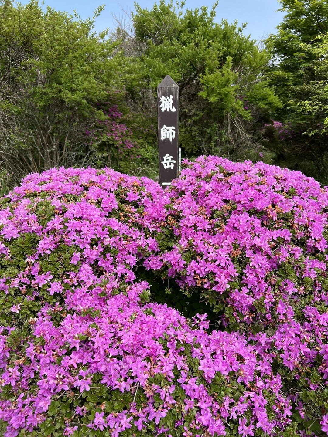 MKは何処へ 猟師岳・猟師山南峰 / みっこさんの九重山（久住山）・大船山・星生山の活動日記 | YAMAP / ヤマップ