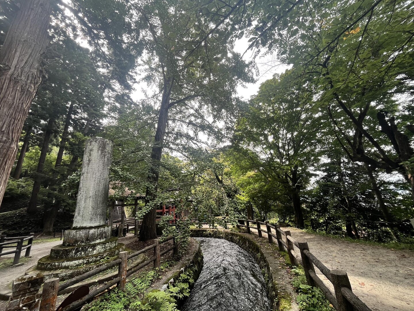 週末放浪記とYAMAPならぬネコップ / hachacha-umemeさんの観光の活動データ | YAMAP / ヤマップ