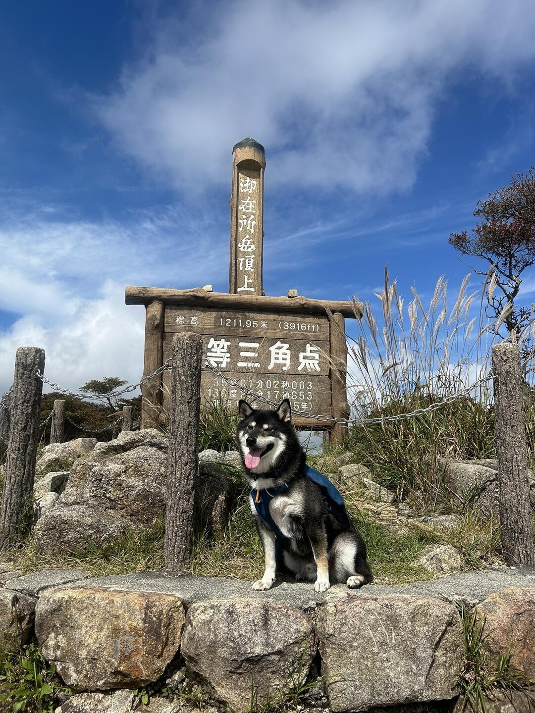 御在所で パパだけズルい カレーうどん / Corchanさんの御在所岳（御在所山）・雨乞岳の活動データ | YAMAP / ヤマップ