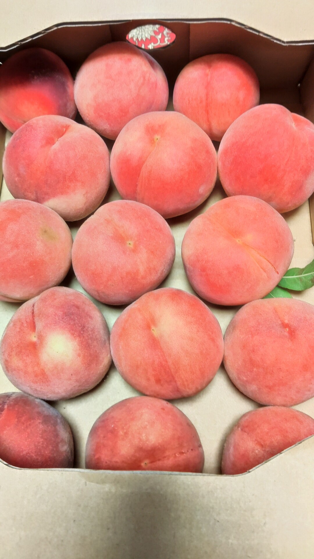 🍑福島夏物語🍑 今年も定番の福島の... / campziziさんのモーメント | YAMAP / ヤマップ