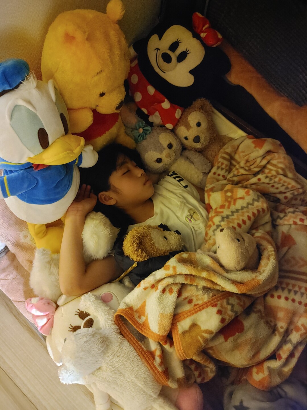 山とは関係ありませんが 仕事から帰って ... / HIRO88さんのモーメント | YAMAP / ヤマップ