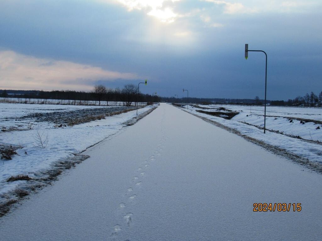 ランニング-2024-03-15 / miyaさんのランニングの活動データ | YAMAP / ヤマップ