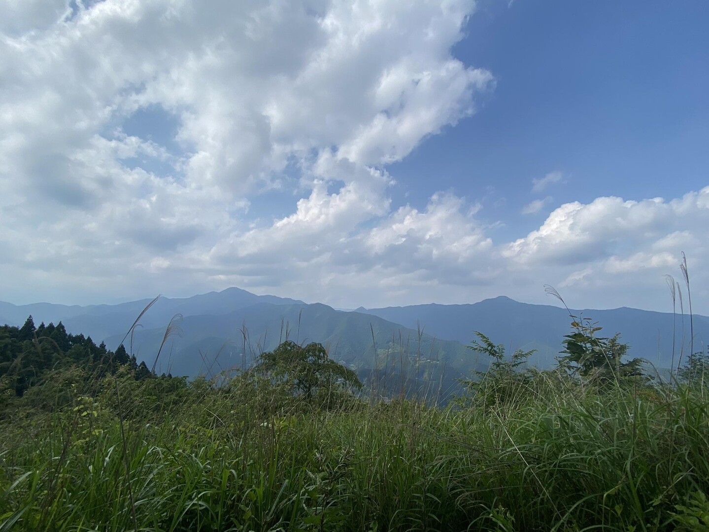 小沢BS〜湯久保山、浅間嶺、松生山周回 / にだまるさんの浅間嶺・松生山の活動データ | YAMAP / ヤマップ
