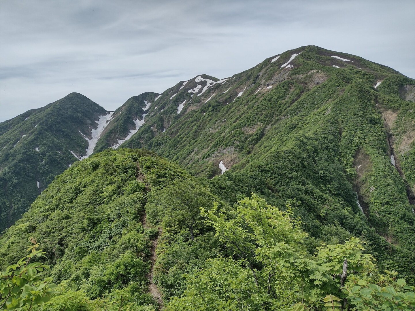 權ノ神岳・粟ヶ岳 / Andrewさんの粟ヶ岳・權ノ神岳・宝蔵山の活動データ | YAMAP / ヤマップ