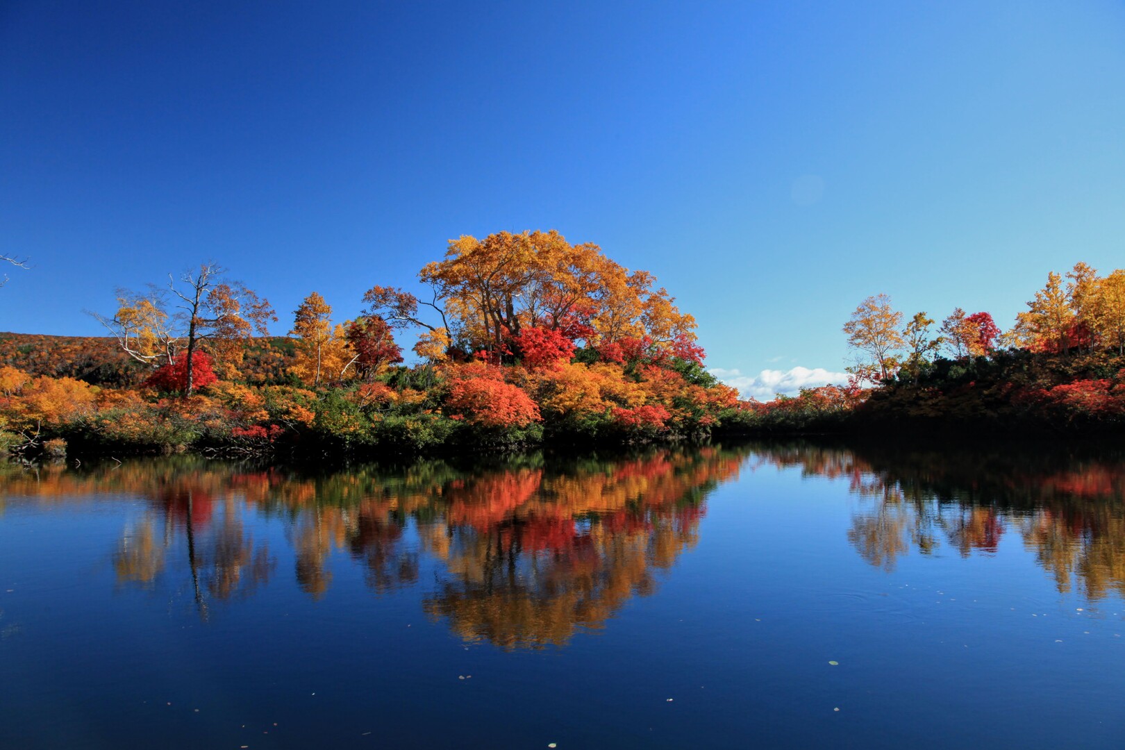 静謐の沼、情念の紅葉 2021-09-25 / tantanさんの大雪山系・旭岳・トムラウシの活動データ | YAMAP / ヤマップ