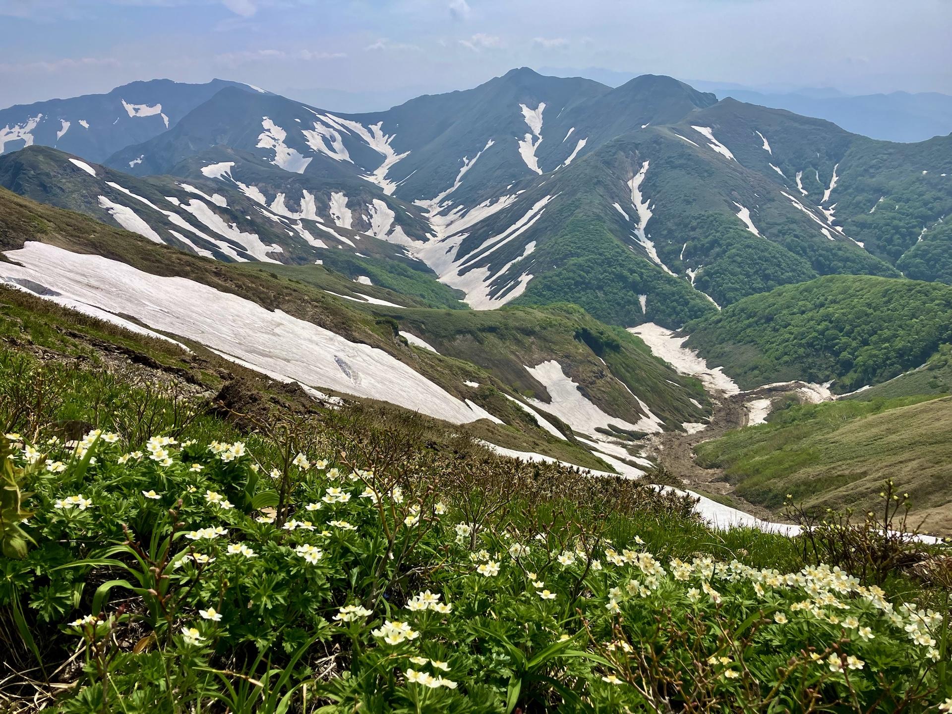 平標山・仙ノ倉山・万太郎山 / Westさんの仙ノ倉山・平標山・大源太山の活動データ | YAMAP / ヤマップ