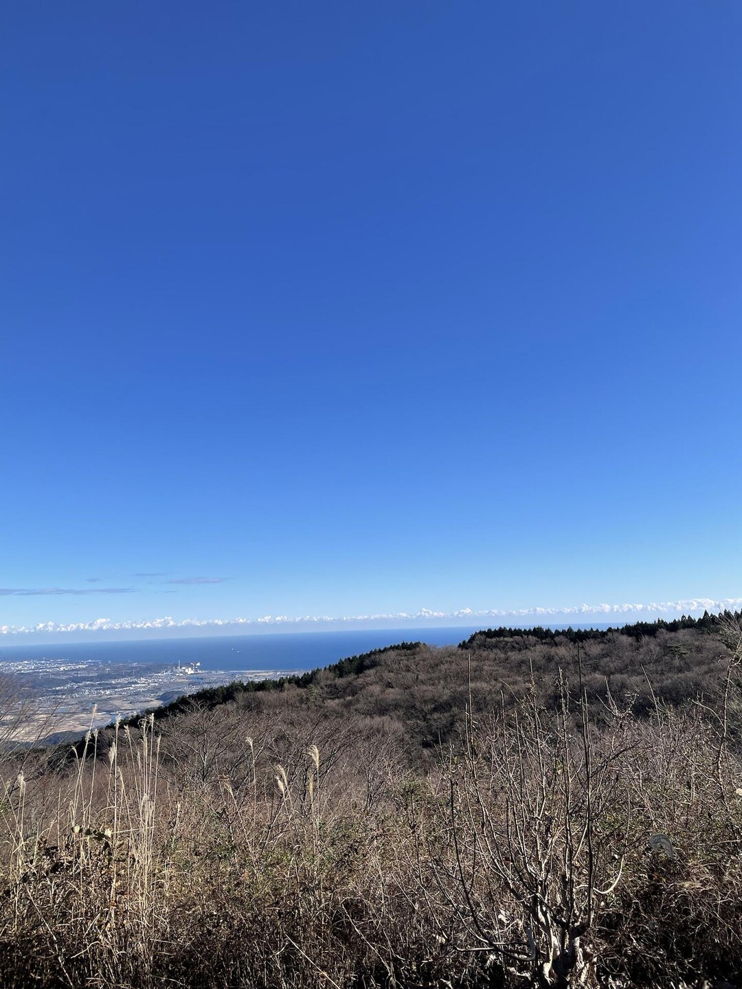 仏具山へ〜うつくしま百名山 / sammyくんさんの仏具山の活動データ | YAMAP / ヤマップ