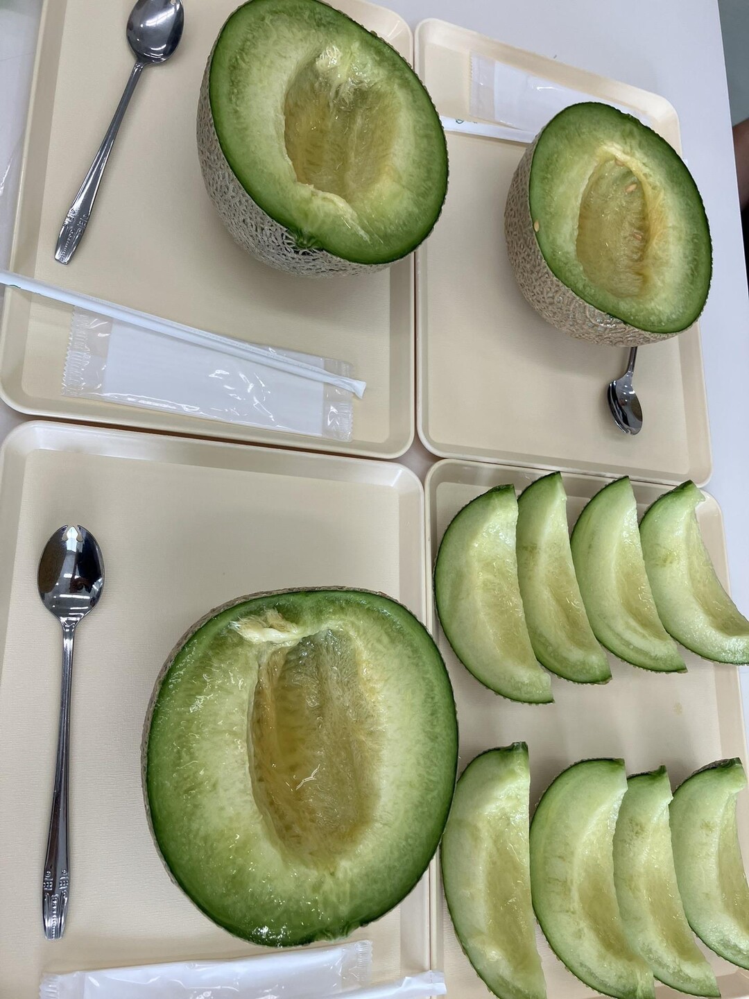 メロン狩り / rikuさんのモーメント | YAMAP / ヤマップ