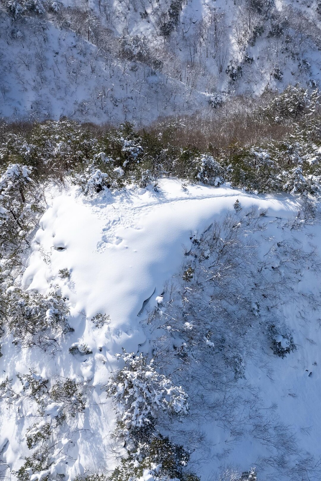 城ヶ平山・峠山・ハゲ山 / tatuさんの城ヶ平山・ハゲ山・三角山の活動データ | YAMAP / ヤマップ