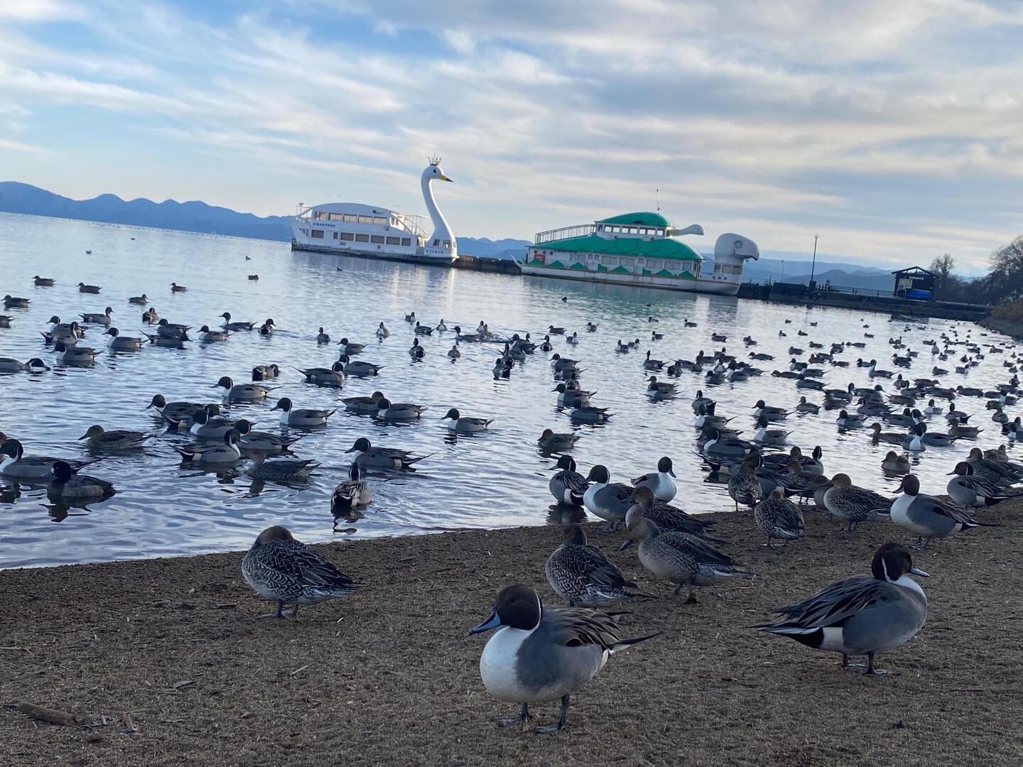 材木山ピークハント失敗(´°̥̥̥̥̥̥̥̥ω°̥̥̥̥̥̥̥̥`) / zuko@さんの会津若松市の活動データ | YAMAP / ヤマップ