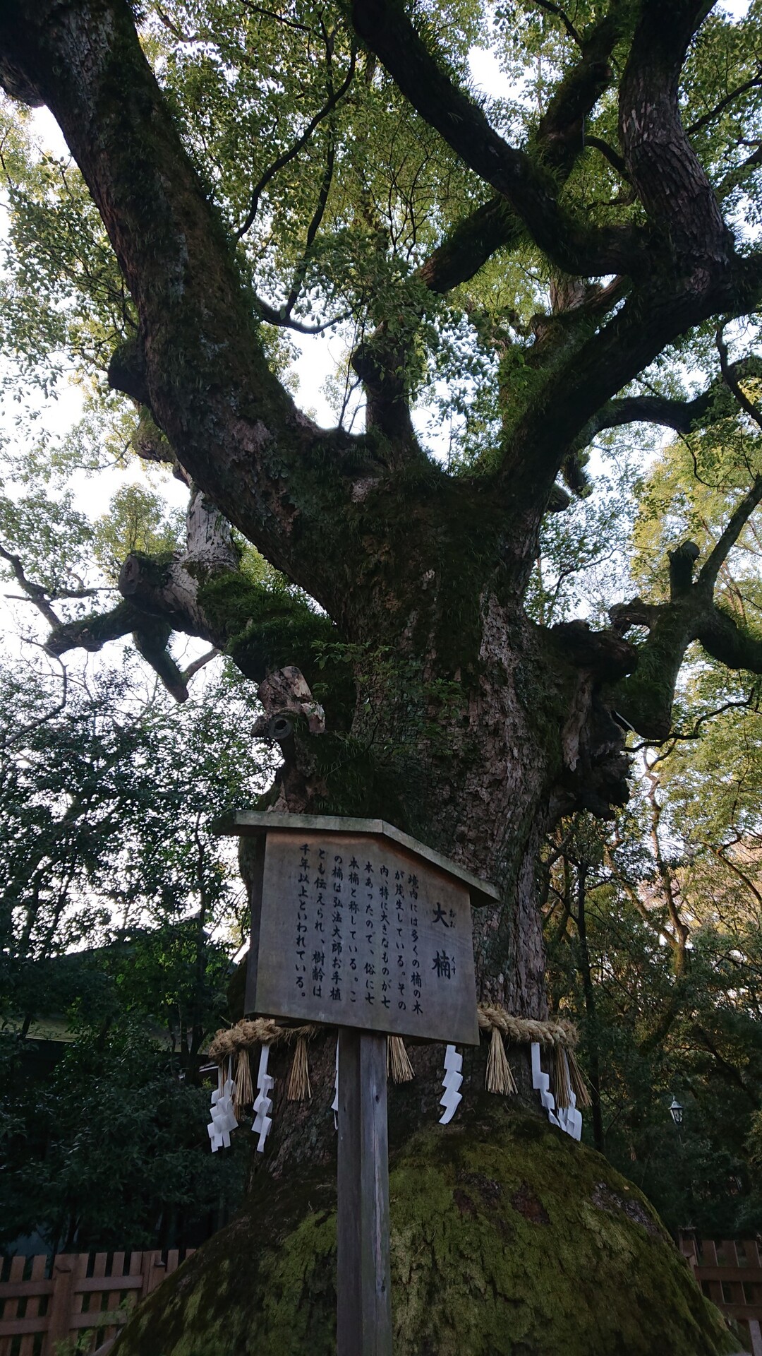 熱田神宮詣LSDラン-2022-01-16 / massaさんの東海道五十三次(池鯉鮒宿・鳴海宿・宮宿)の活動日記 | YAMAP / ヤマップ