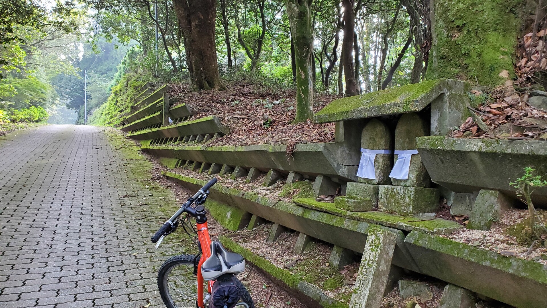 MTBで金山出石山へ / hirobonさんの八幡浜市の活動日記 | YAMAP / ヤマップ