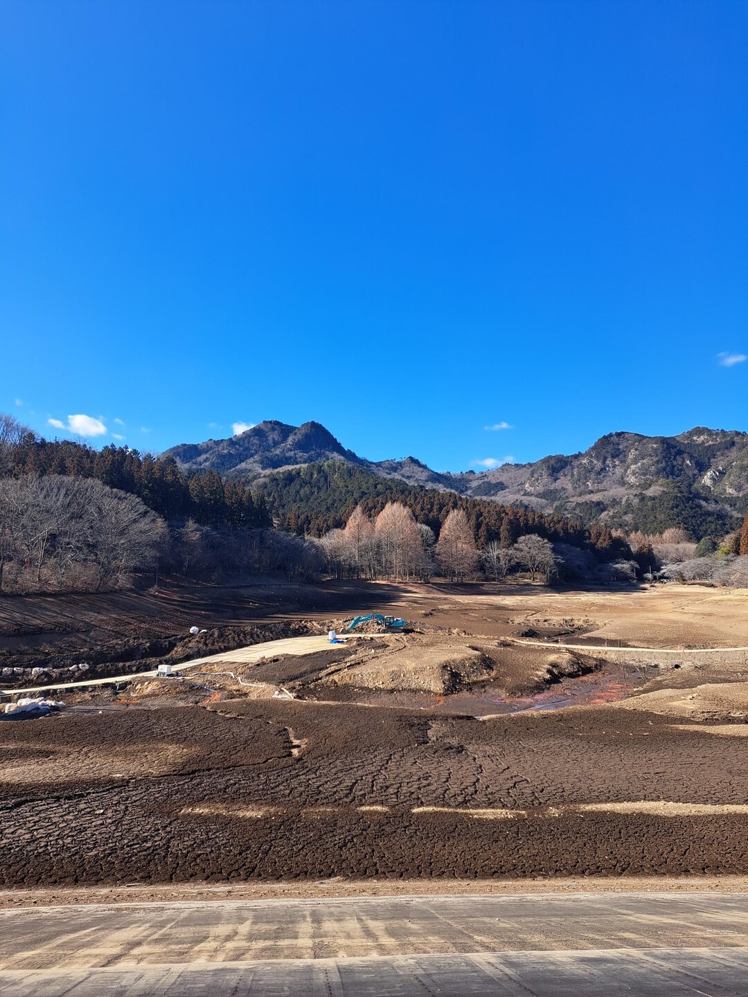 長倉山・鞍掛山・シゲト山・540P・斑根石山 / ゆき(-.-)y-~~さんの古賀志山・赤岩山・鞍掛山・男抱山・半蔵山の活動データ | YAMAP / ヤマップ