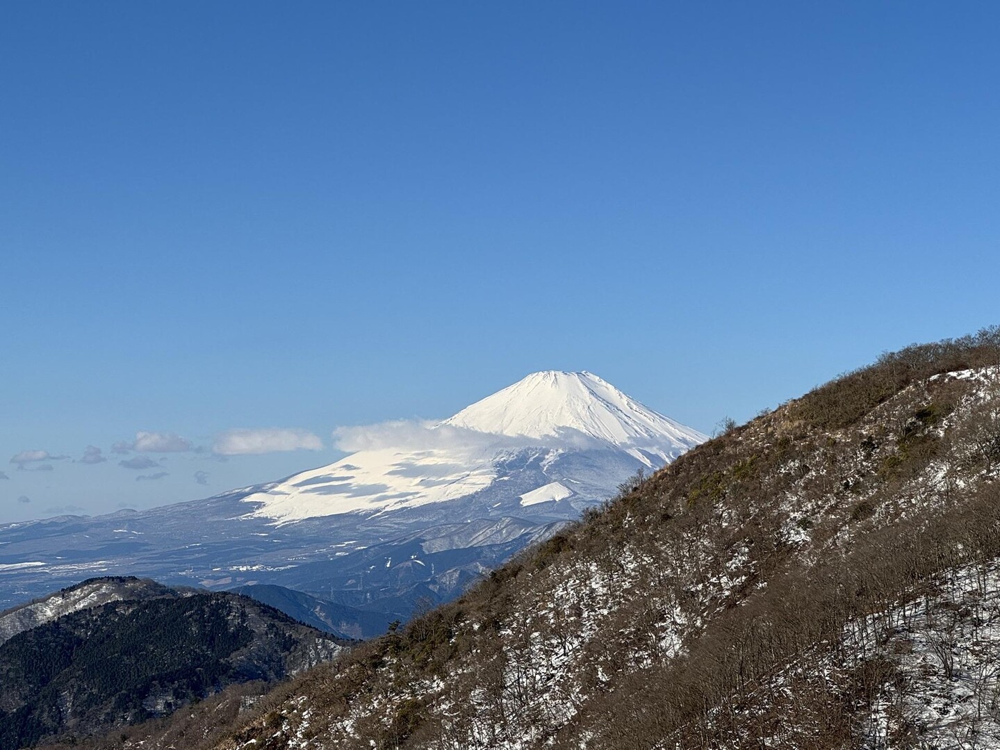 塔ノ岳、花立山荘まで / katsさんの塔ノ岳・丹沢山・蛭ヶ岳の活動データ | YAMAP / ヤマップ