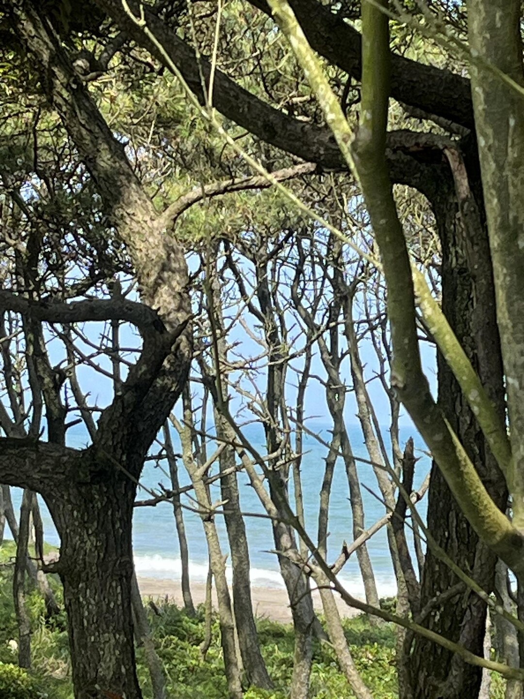 ランニング-2024-04-30 / MADさんのランニングの活動データ | YAMAP / ヤマップ