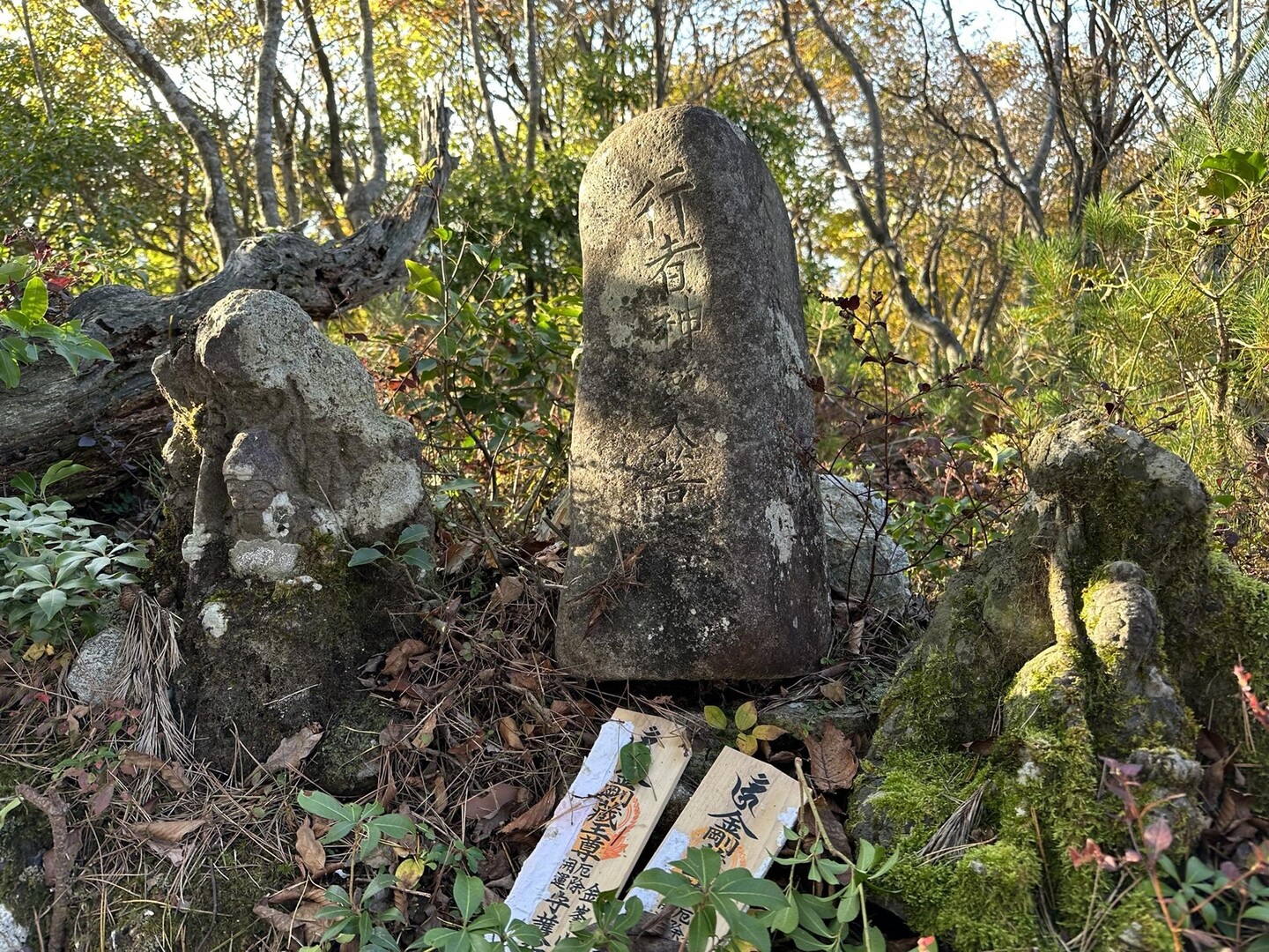 多田ヶ岳 / yumieさんの多田ヶ岳の活動データ | YAMAP / ヤマップ