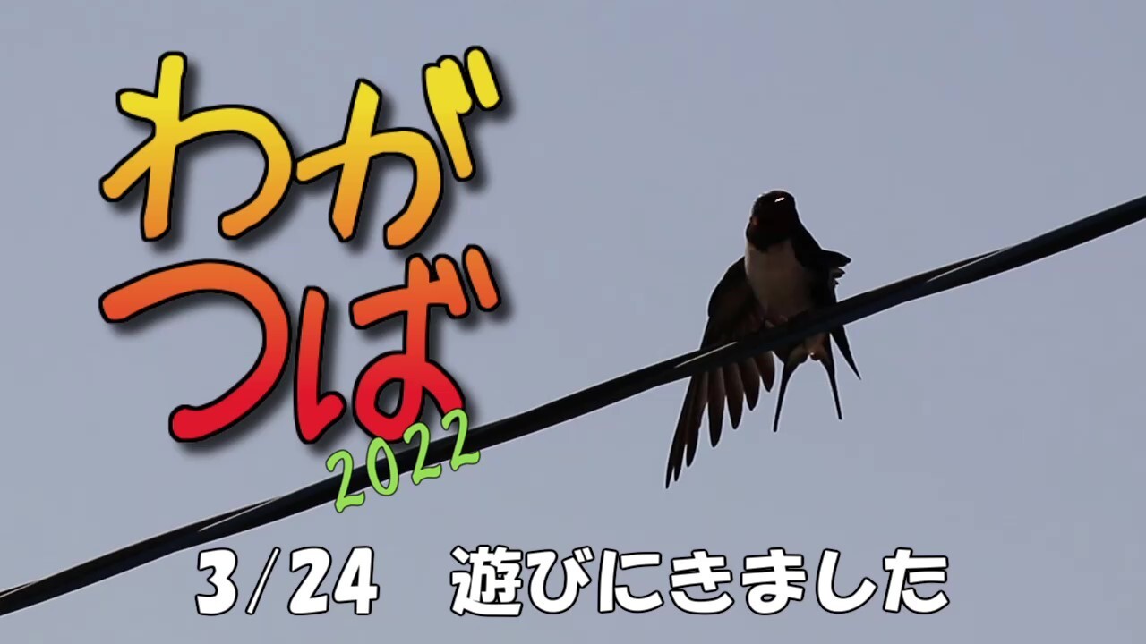https://youtu.be/o2B... / ぶんぶんさんのモーメント | YAMAP / ヤマップ