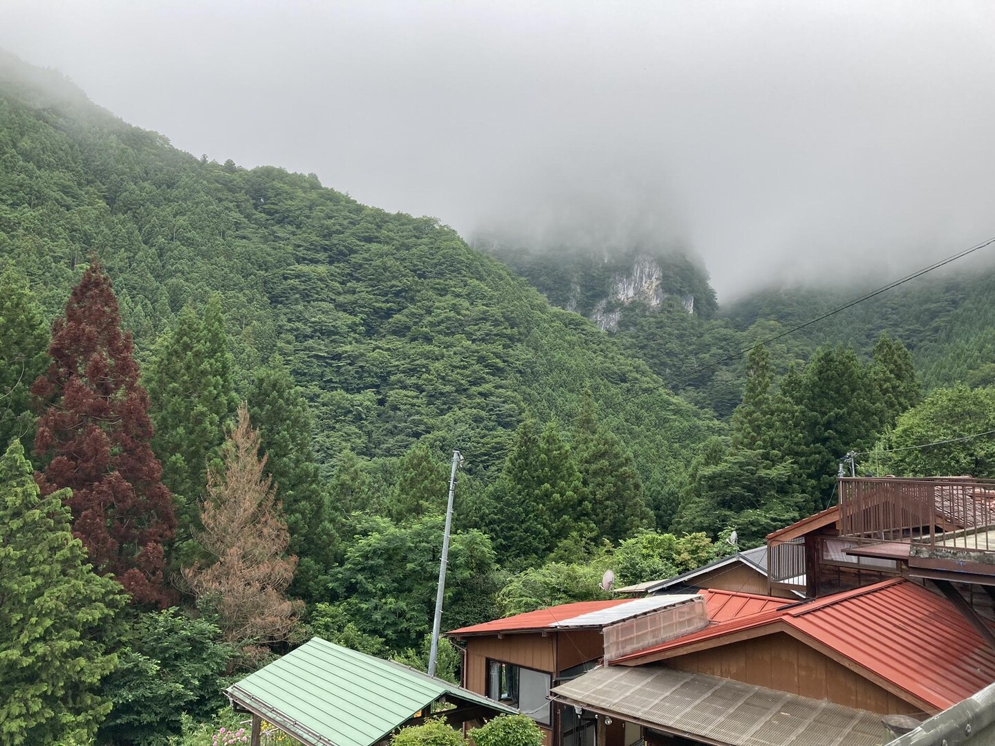 稲村岩は霧の中、日原鍾乳洞早歩き！ / Ok-836さんの雲取山・鷹ノ巣山・七ツ石山の活動データ | YAMAP / ヤマップ