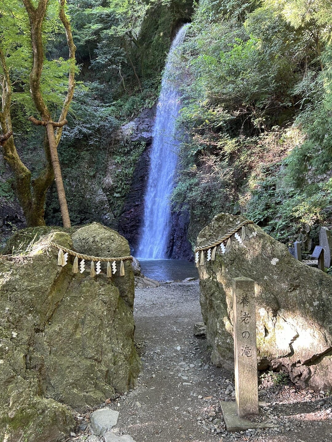 三方山・小倉山・養老山・北尾根P826峰 / yt.crowさんの養老山・笙ヶ岳・三方山の活動データ | YAMAP / ヤマップ