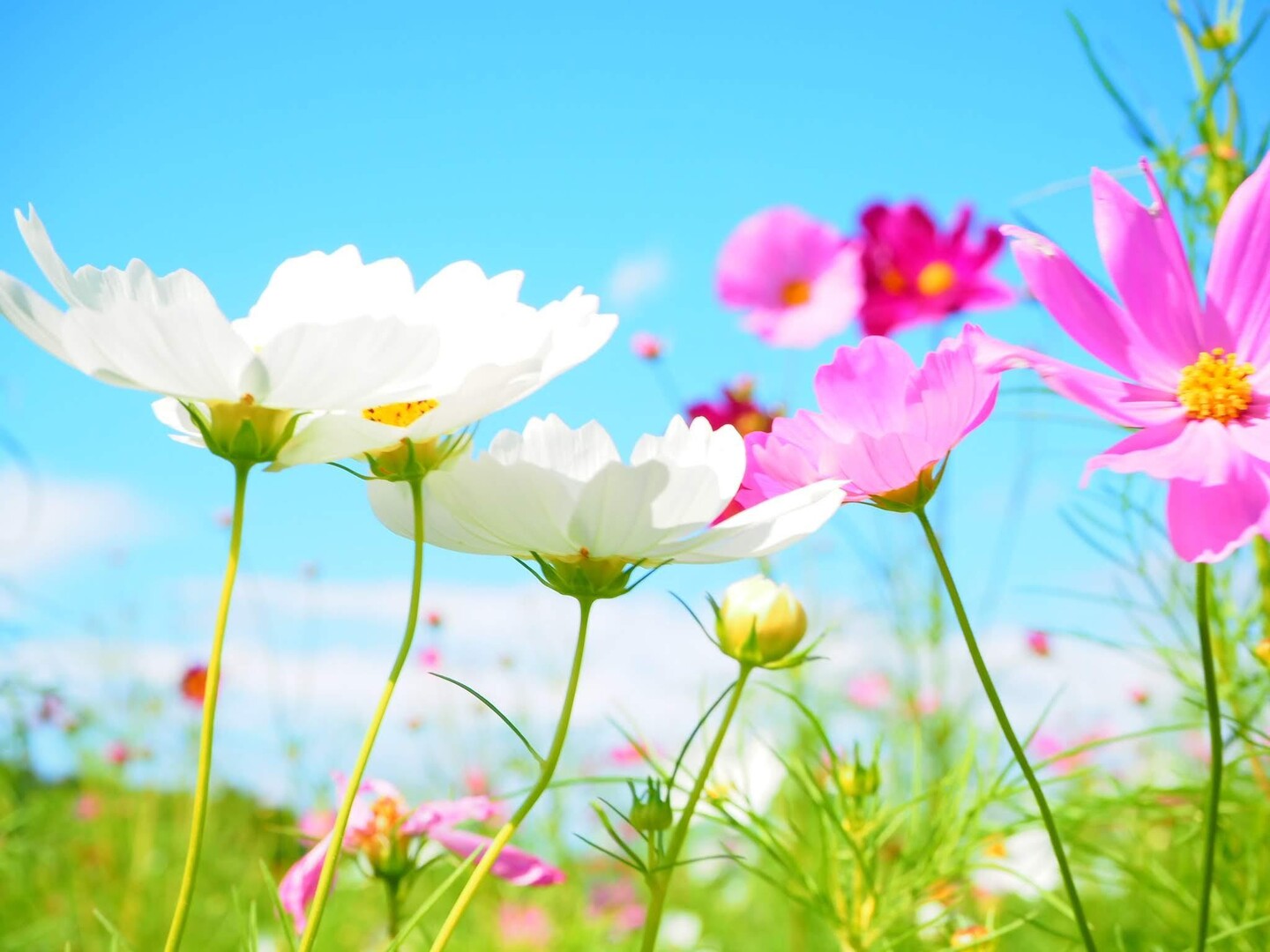 r.moのページ | YAMAP / ヤマップ