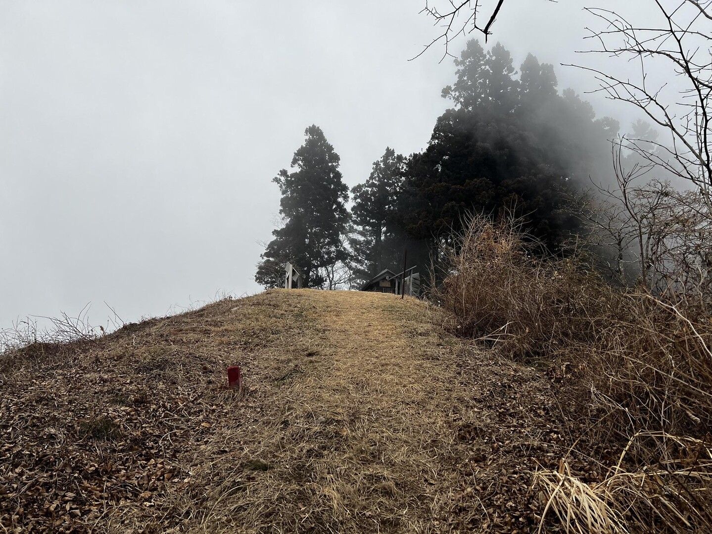 鹿狼山 / NPO IC Explorersさんの鹿狼山の活動データ | YAMAP / ヤマップ