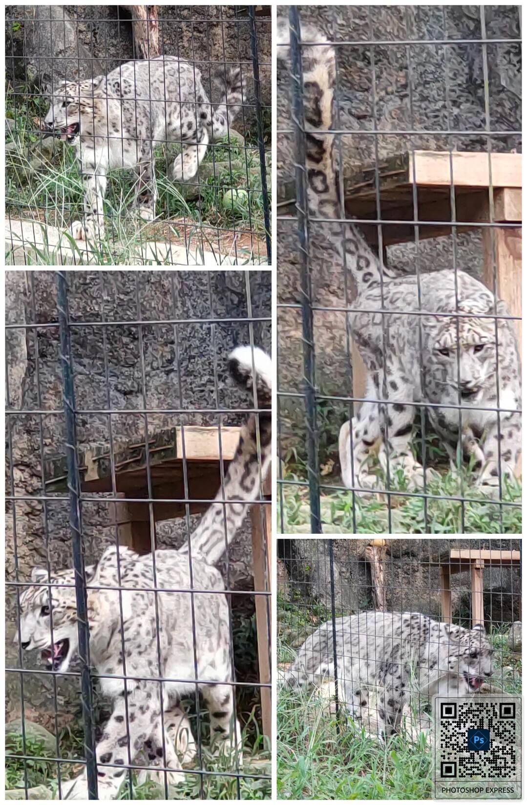 お盆に多摩ZOO お山に行きたい、、 ... / 紅帽子さんのモーメント | YAMAP / ヤマップ