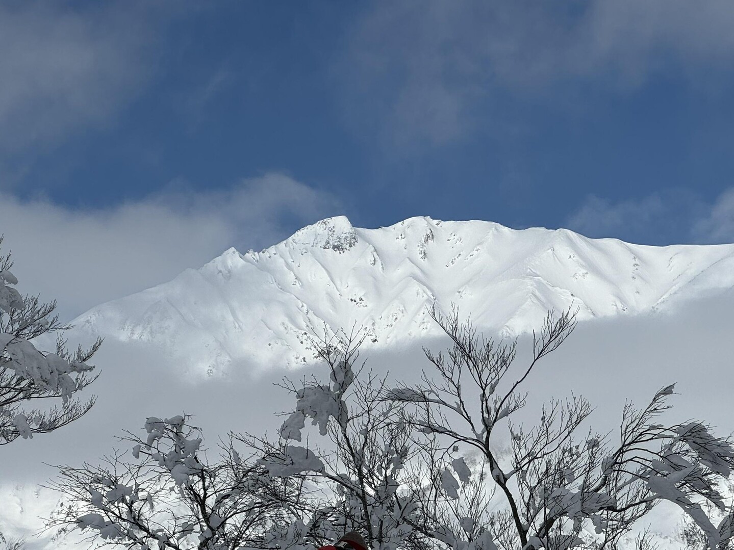 Hakuba47 & エイブル白馬五竜 / m-ohmiさんの鹿島槍ヶ岳・五竜岳（五龍岳）・唐松岳の活動データ | YAMAP / ヤマップ