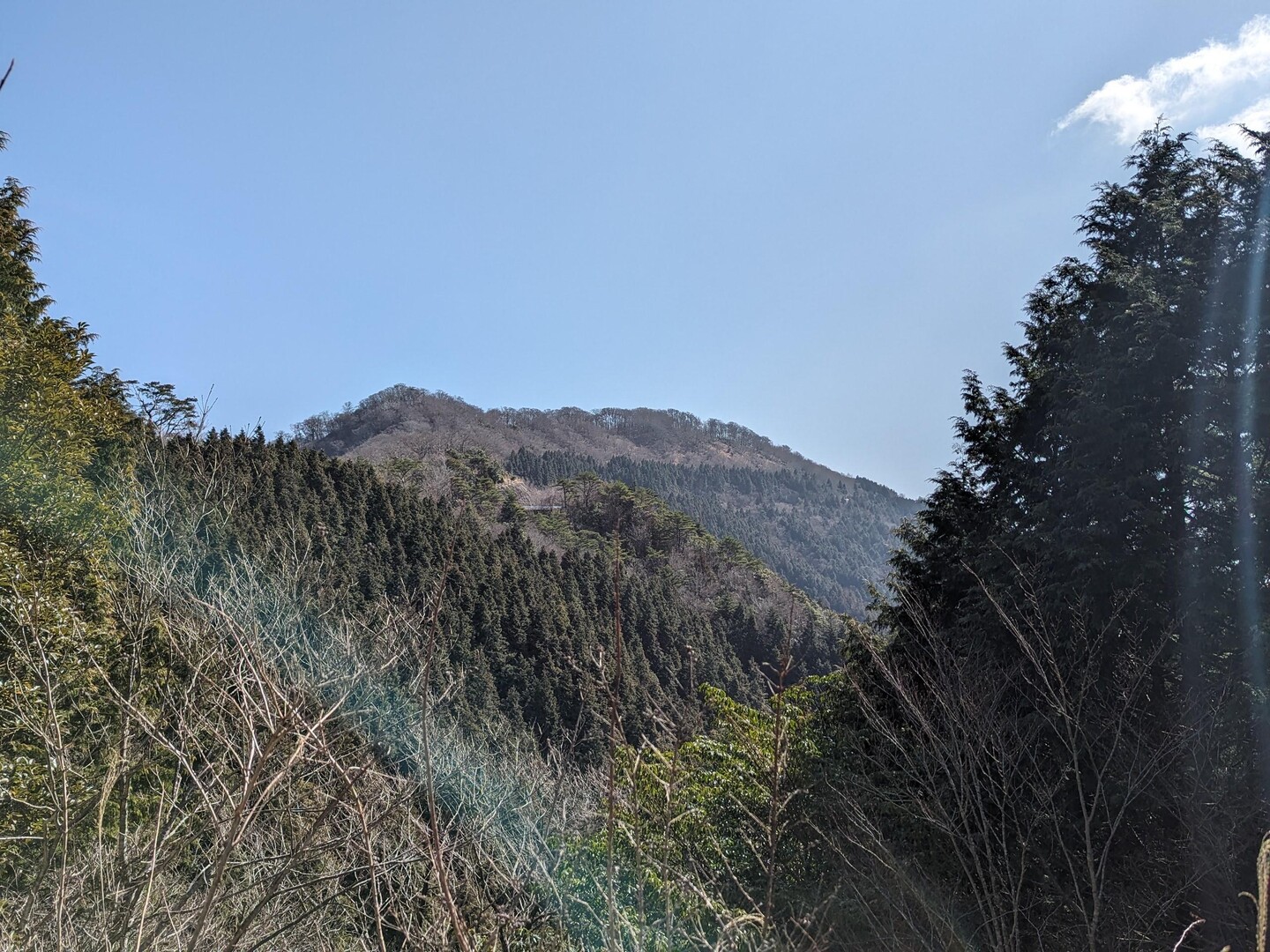 😀冷水山💦関西百名山#95・近畿百名山#83 / "satoh"さんの冷水山・百前森山・果無山の活動データ | YAMAP / ヤマップ