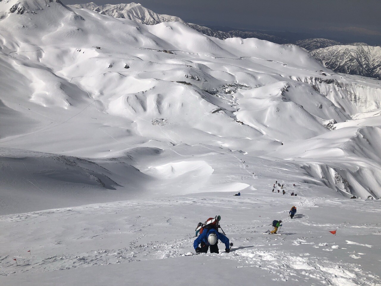 MOSSのページ | YAMAP / ヤマップ