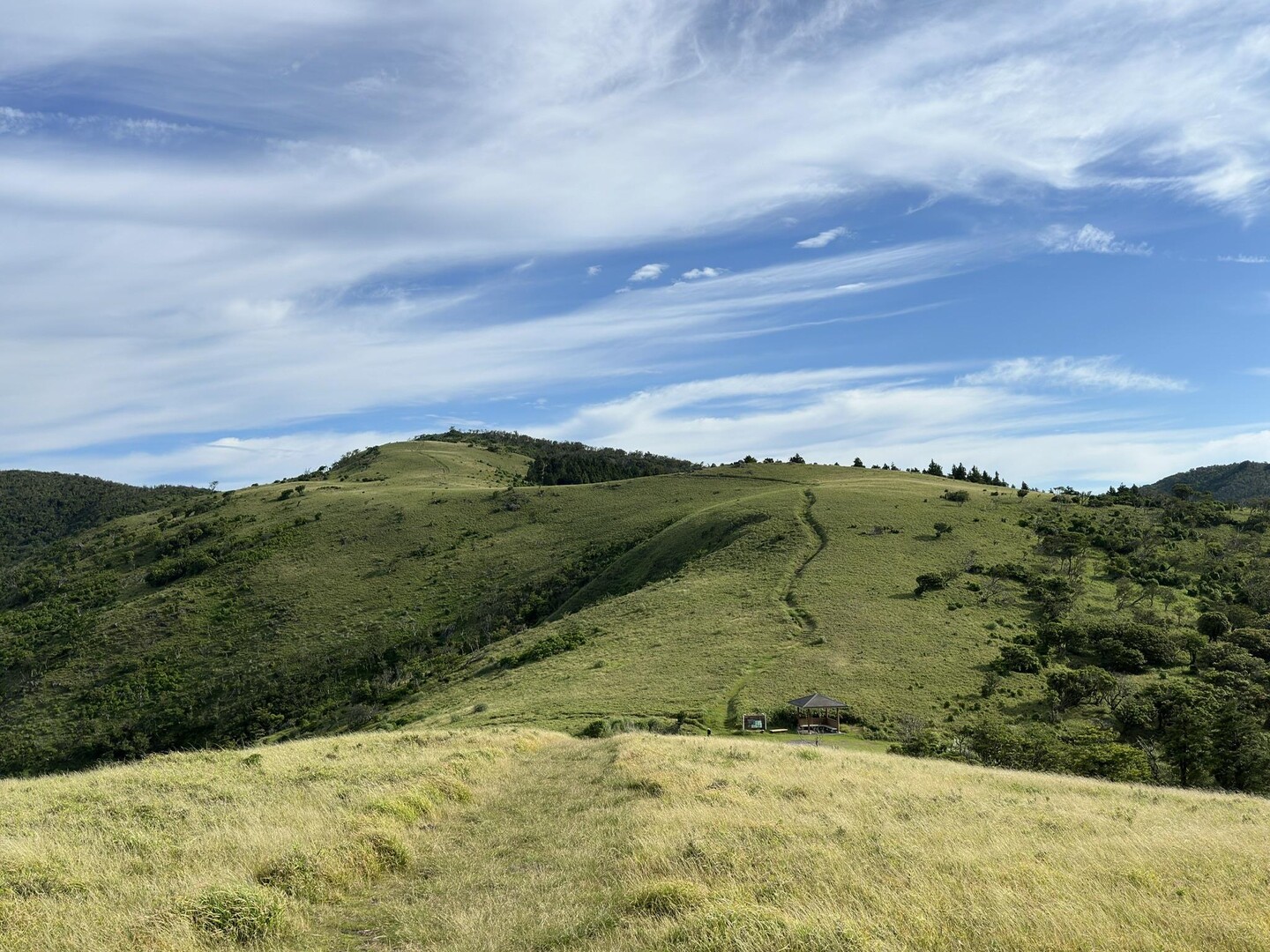 伊豆山稜線歩道（民宿しみずで1泊） / ナメッコさんの棚場山・魂の山・猫越岳の活動日記 | YAMAP / ヤマップ