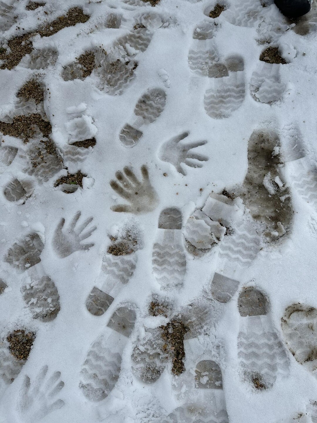 雪あそびと氷あそび😃 裏の畑のルッコラ... / ひかりさんのモーメント | YAMAP / ヤマップ