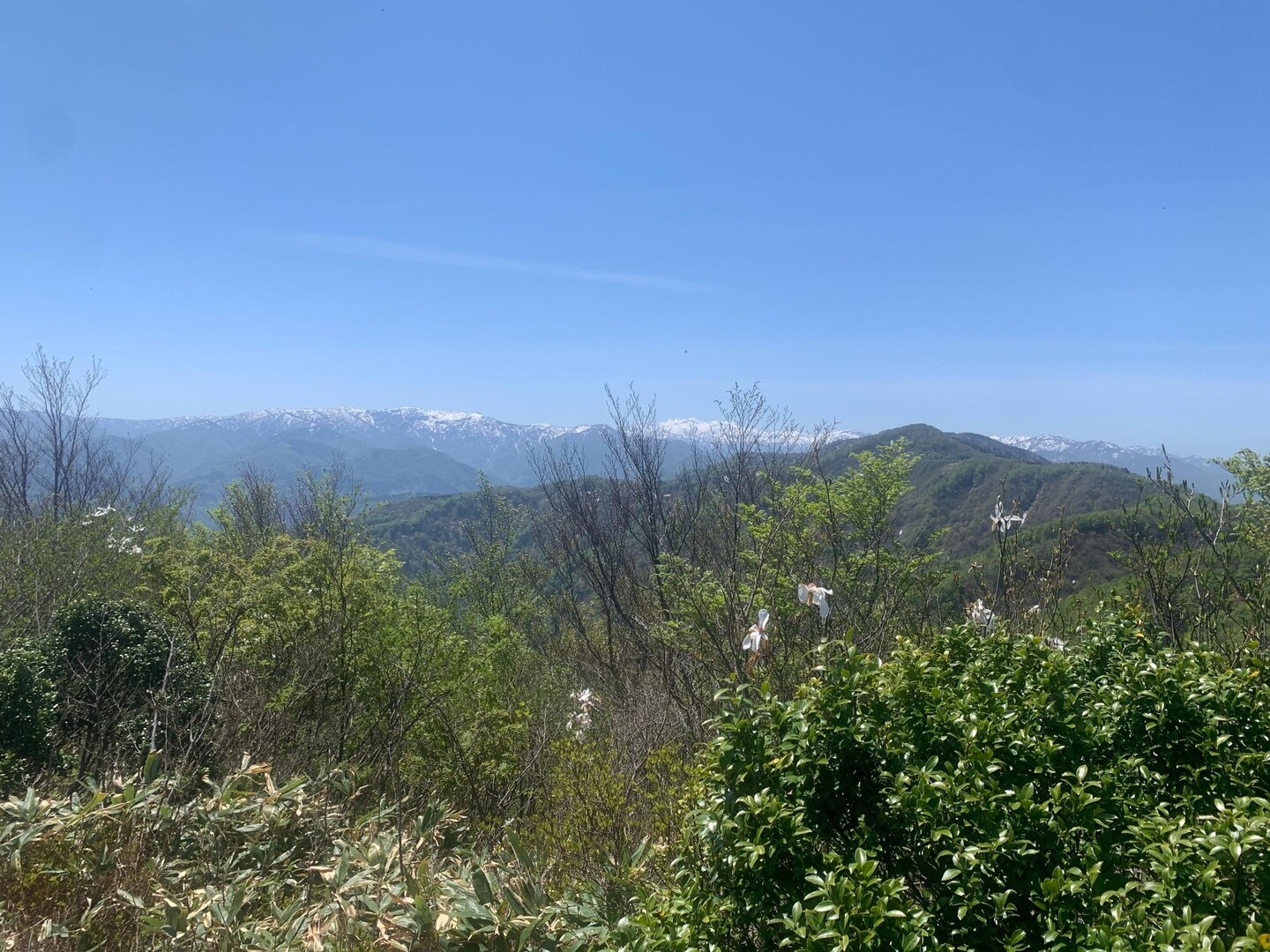 眺望最高だった赤祖父山⛰️ / kaiさんの牛岳の活動データ | YAMAP / ヤマップ