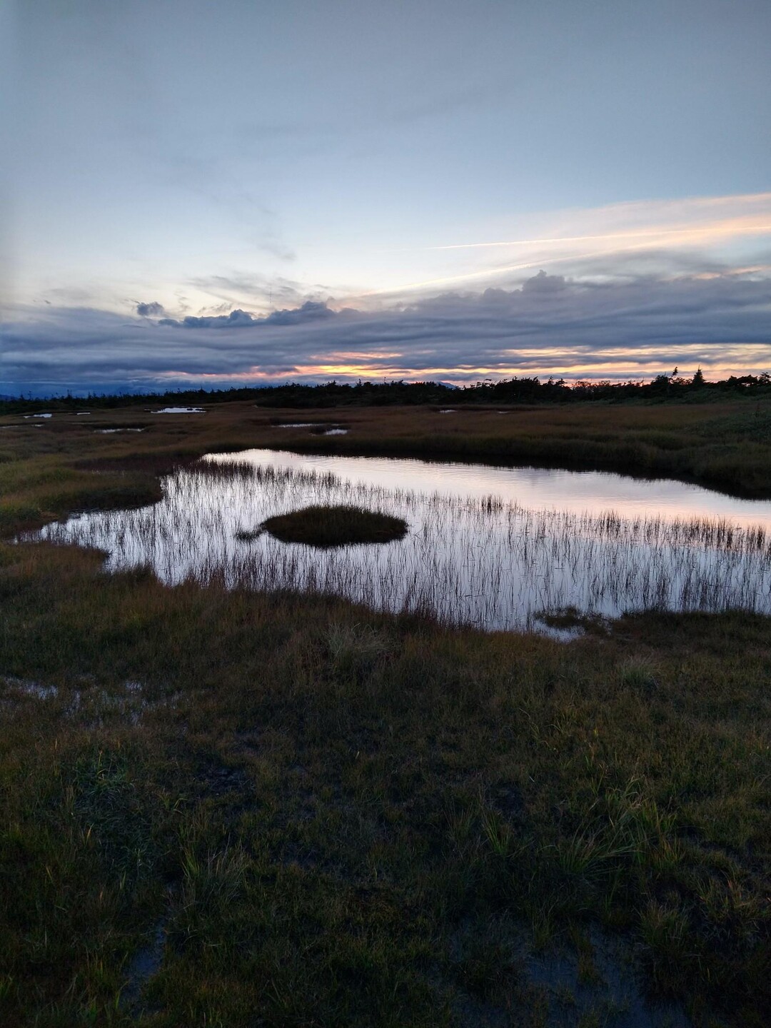 初秋を感じに苗場山 / muugさんの苗場山・赤倉山・佐武流山の活動データ | YAMAP / ヤマップ