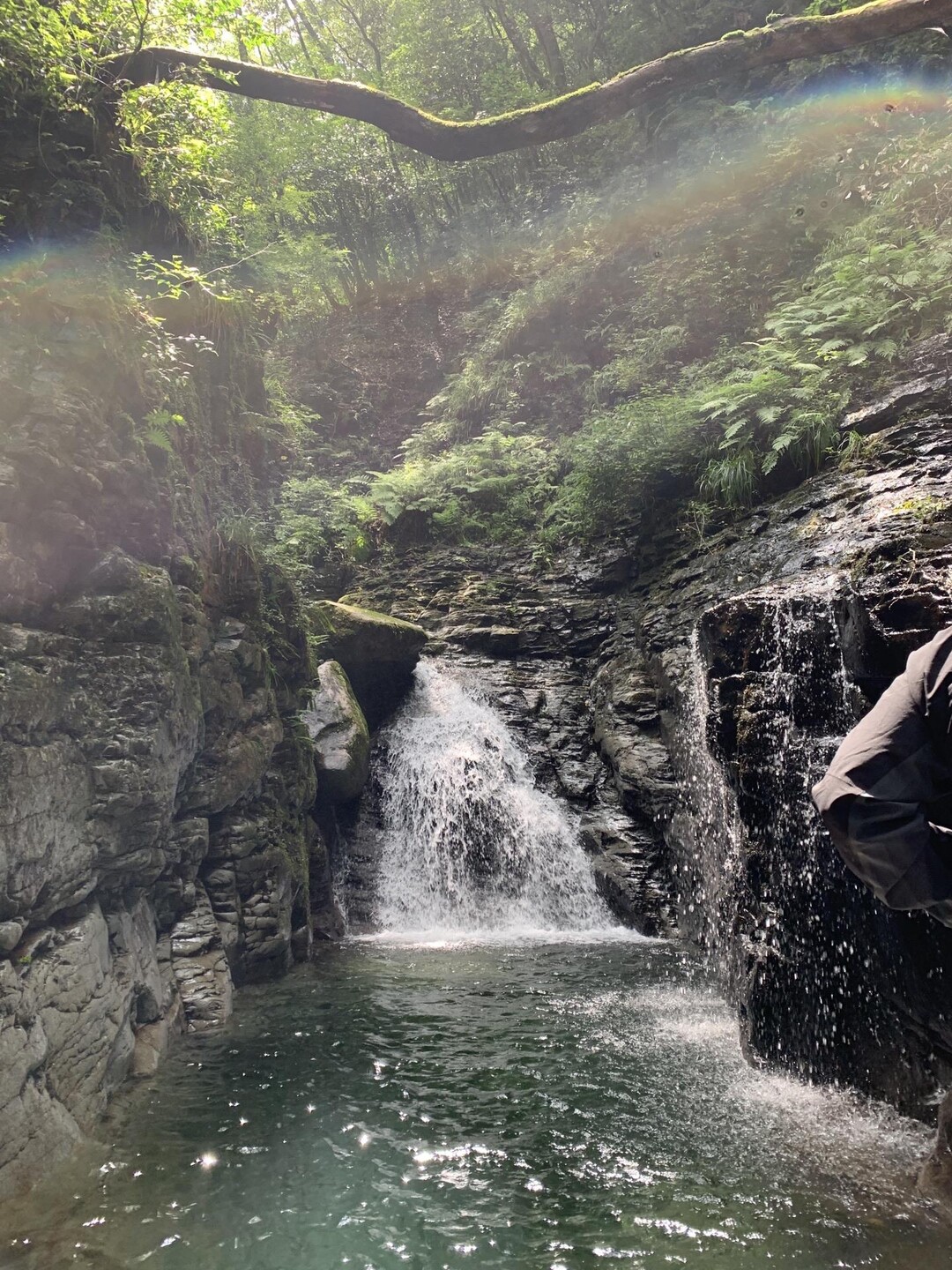 犬ヶ岳・求菩提山-2023-08-20 / Hiraku Endoさんの犬ヶ岳・求菩提山の活動データ | YAMAP / ヤマップ