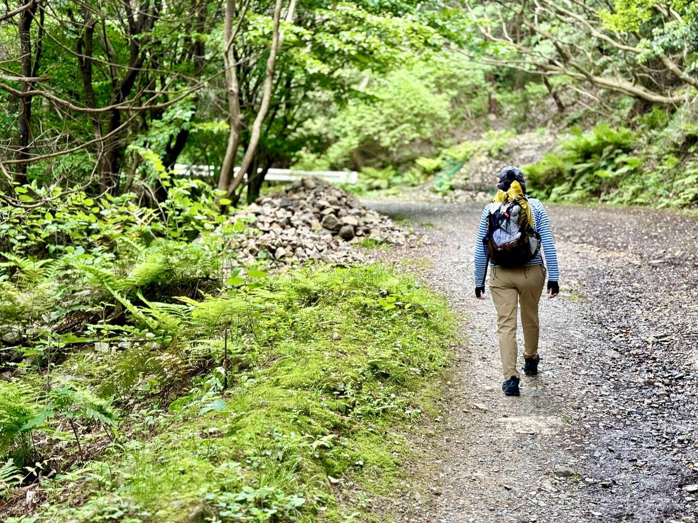 みろくの森⛰️少し距離を伸ばして・・・ / RYさんの春日井三山・弥勒山・大谷山・道樹山の活動データ | YAMAP / ヤマップ