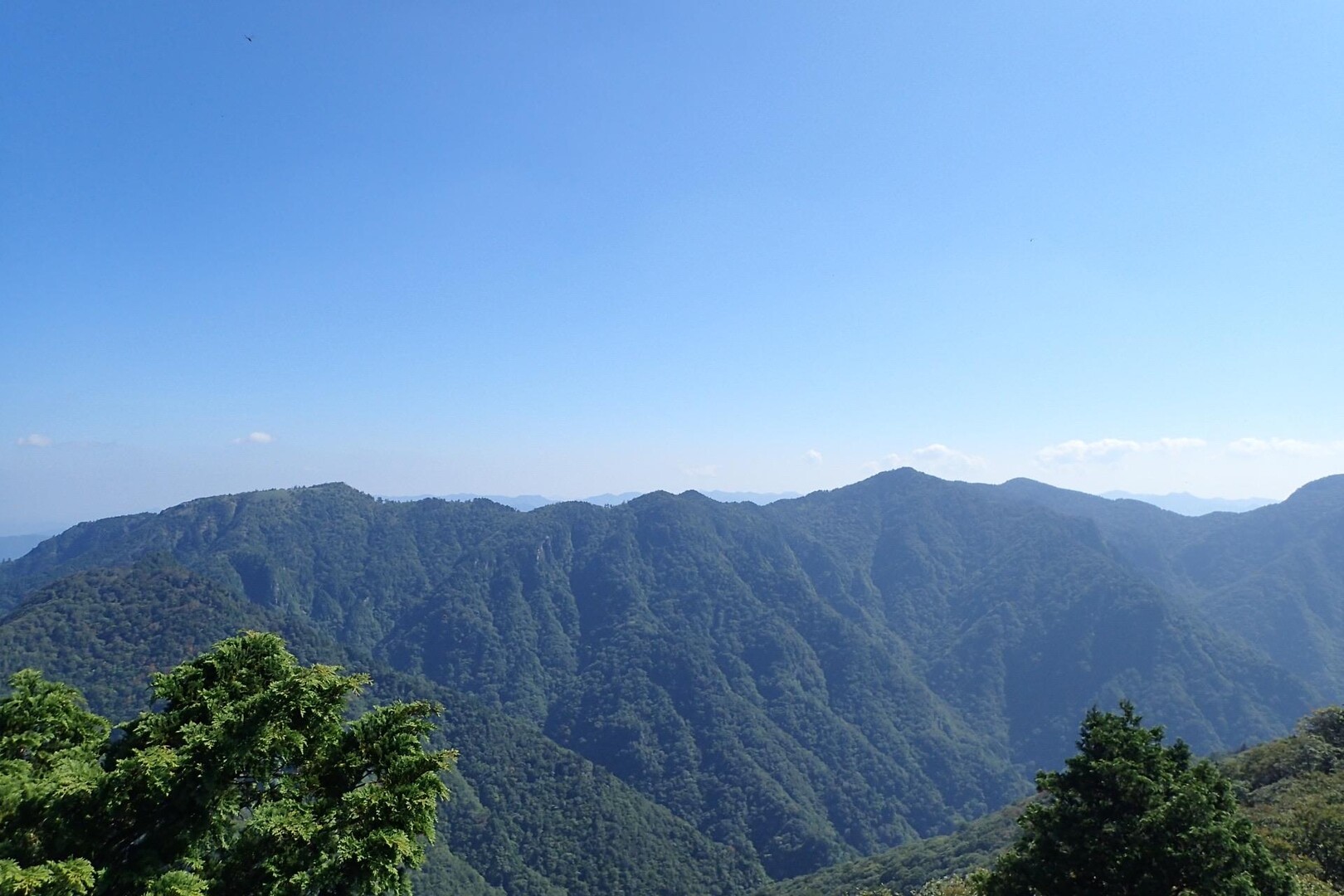稲村ヶ岳・大日山-240907 / ariariさんの観音峯山・大普賢岳・山上ヶ岳・稲村ヶ岳の活動データ | YAMAP / ヤマップ