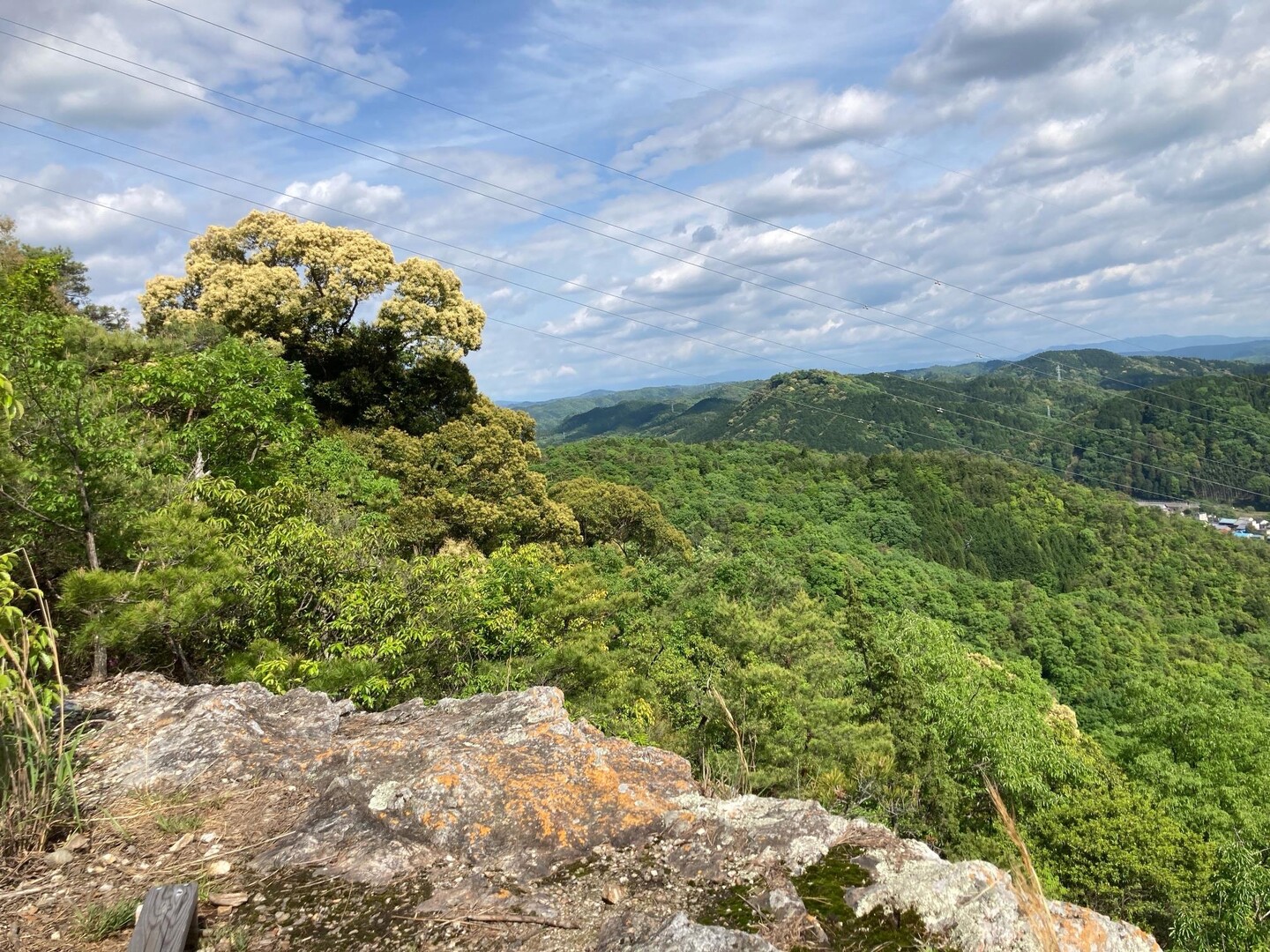米田白山 / mmさんの米田白山の活動データ | YAMAP / ヤマップ