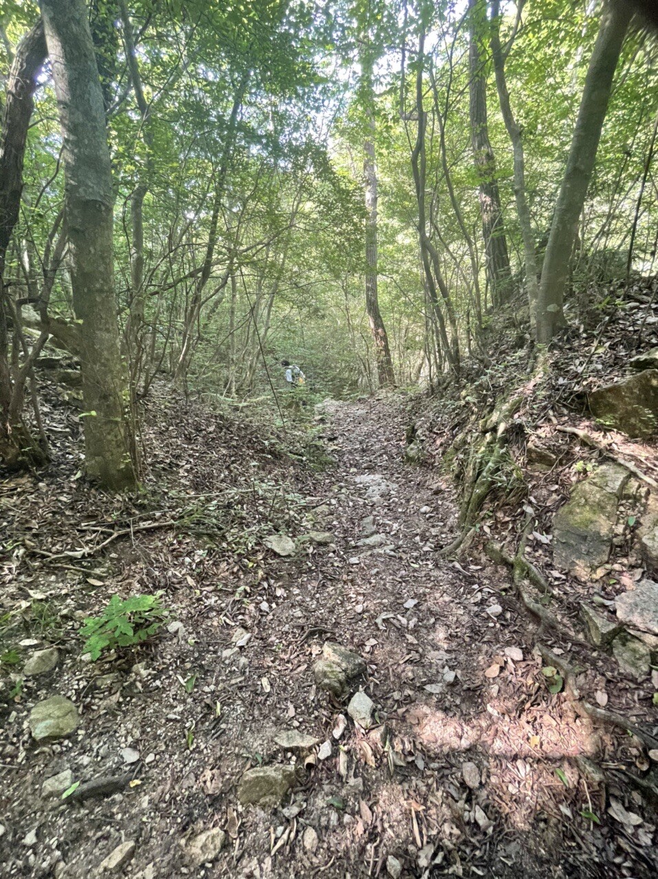 YassYassさんの投稿したフィールドメモ | YAMAP / ヤマップ