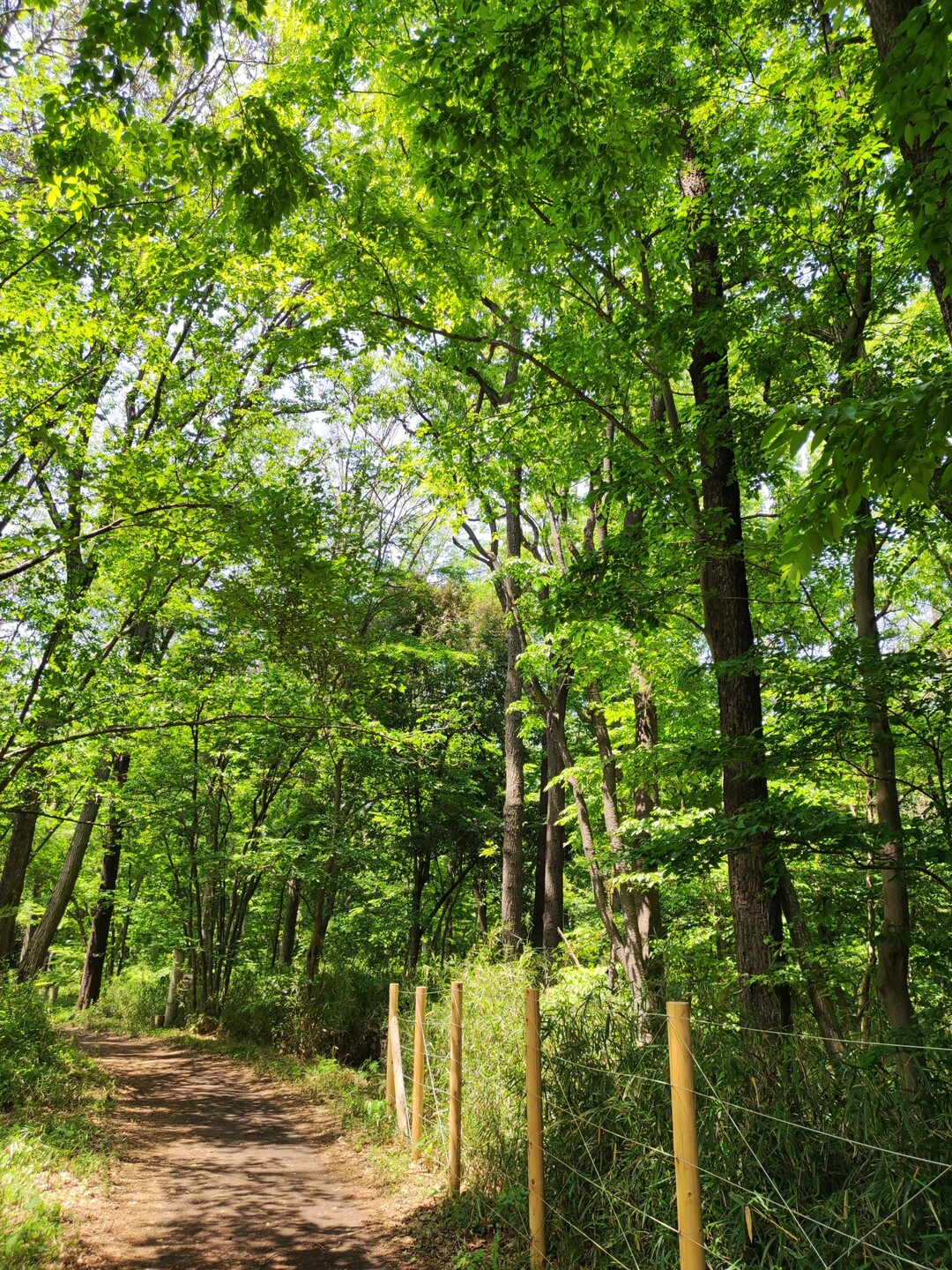 mappyさんの投稿したフィールドメモ | YAMAP / ヤマップ