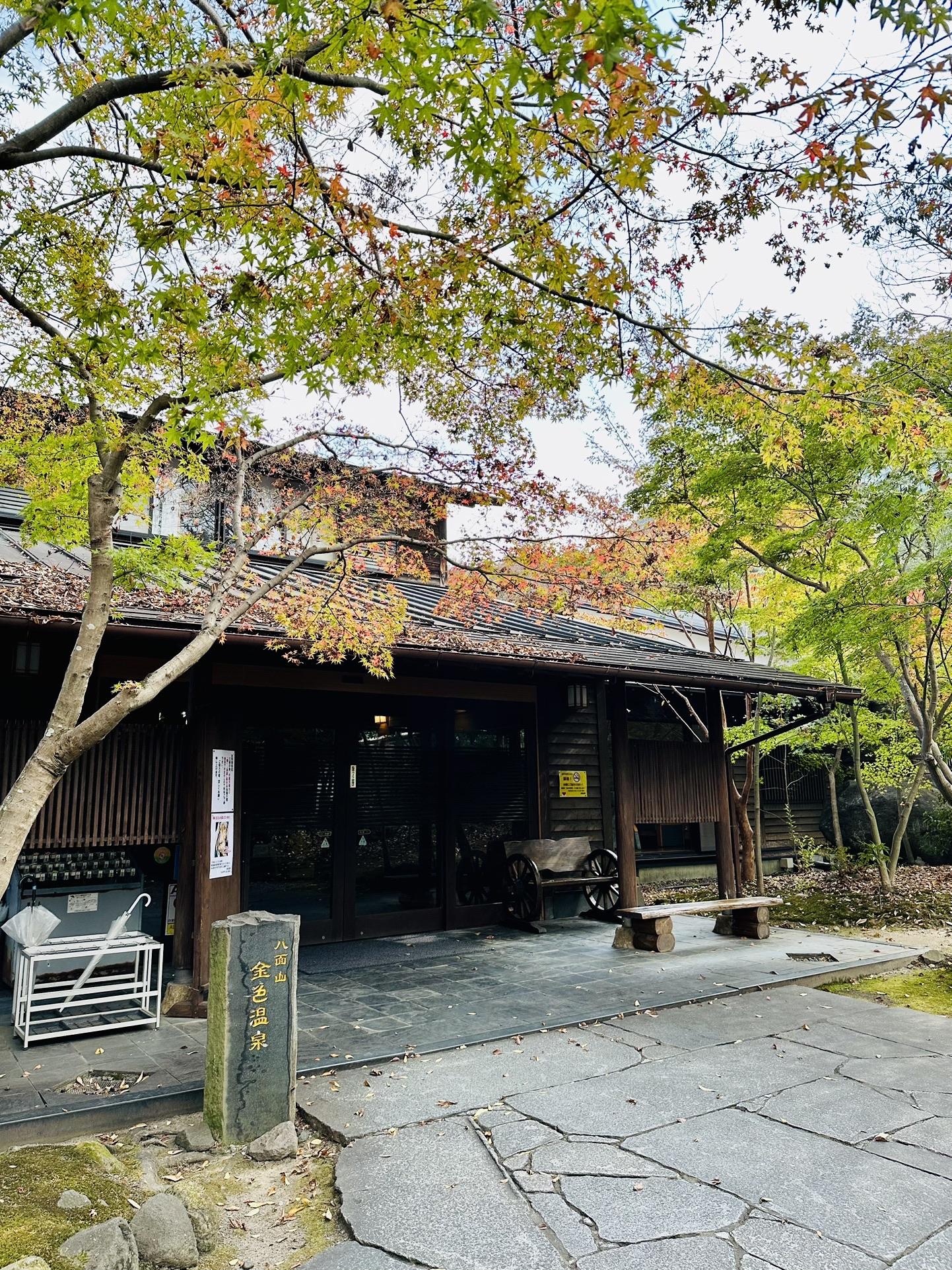 久しぶりの八面山 / Haroldさんの八面山の活動データ | YAMAP / ヤマップ