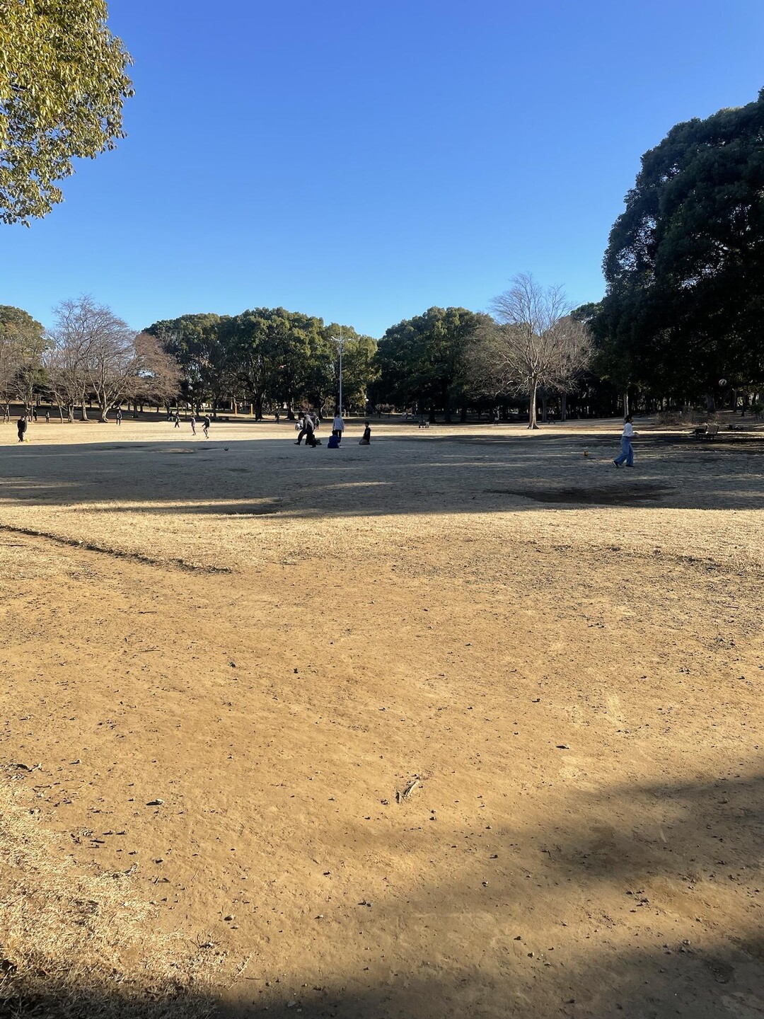 こんにちは。 今日は午前中近場ラントレし... / Shoji-nさんのモーメント | YAMAP / ヤマップ