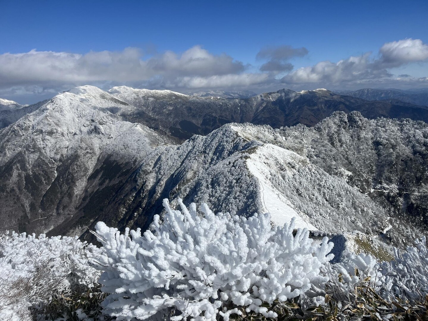 伊予富士 / 007さんの笹ヶ峰・寒風山・平家平の活動データ | YAMAP / ヤマップ