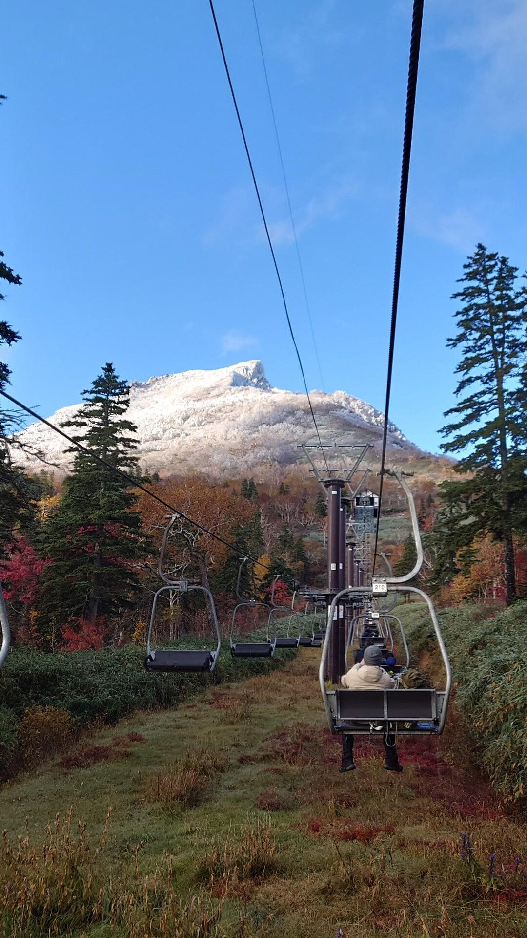 黒岳🍁 ＆凌雲岳 / makyさんの大雪山系・旭岳・トムラウシの活動データ | YAMAP / ヤマップ