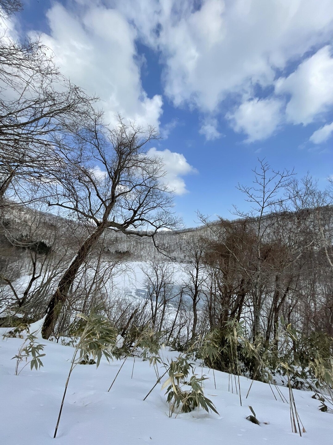 橘湖 2023-02-28 / Wakaさんのオロフレ山・来馬岳の活動データ | YAMAP / ヤマップ