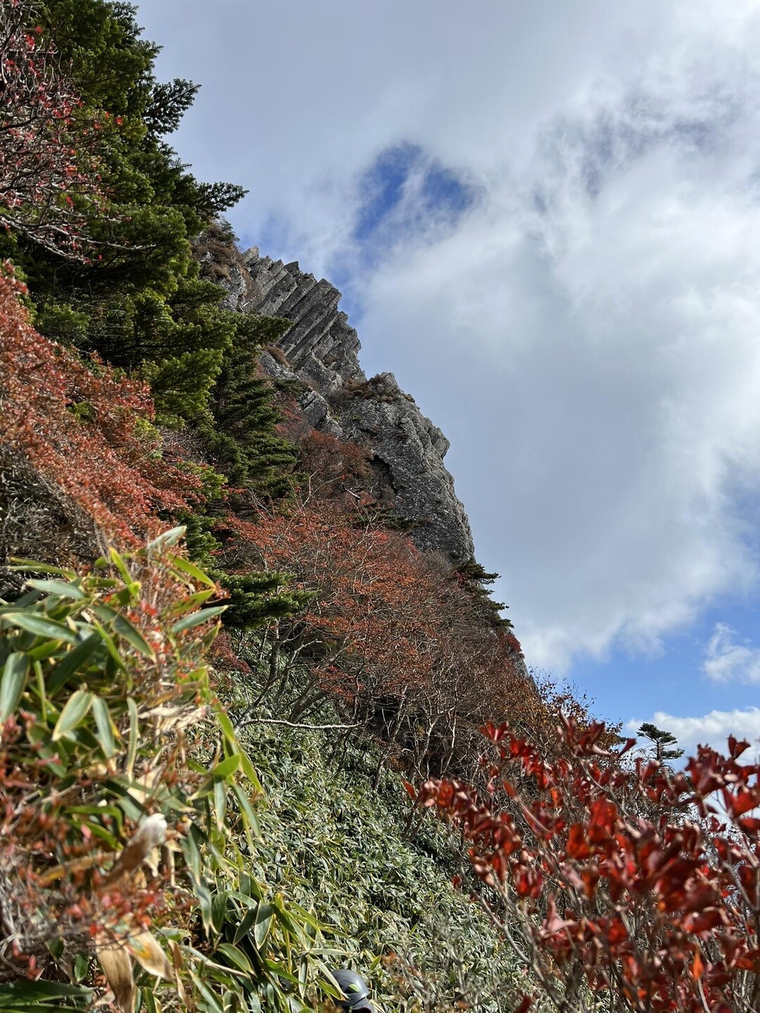 秋も素晴らしい北沢💕 / mipiさんの石鎚山・堂ヶ森・二ノ森の活動データ | YAMAP / ヤマップ